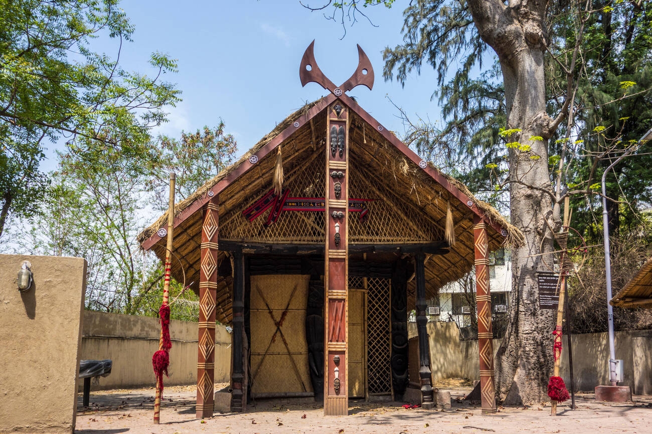 Amazing Culture Of Nagaland - Food, Dress & Tradition | Oddessemania