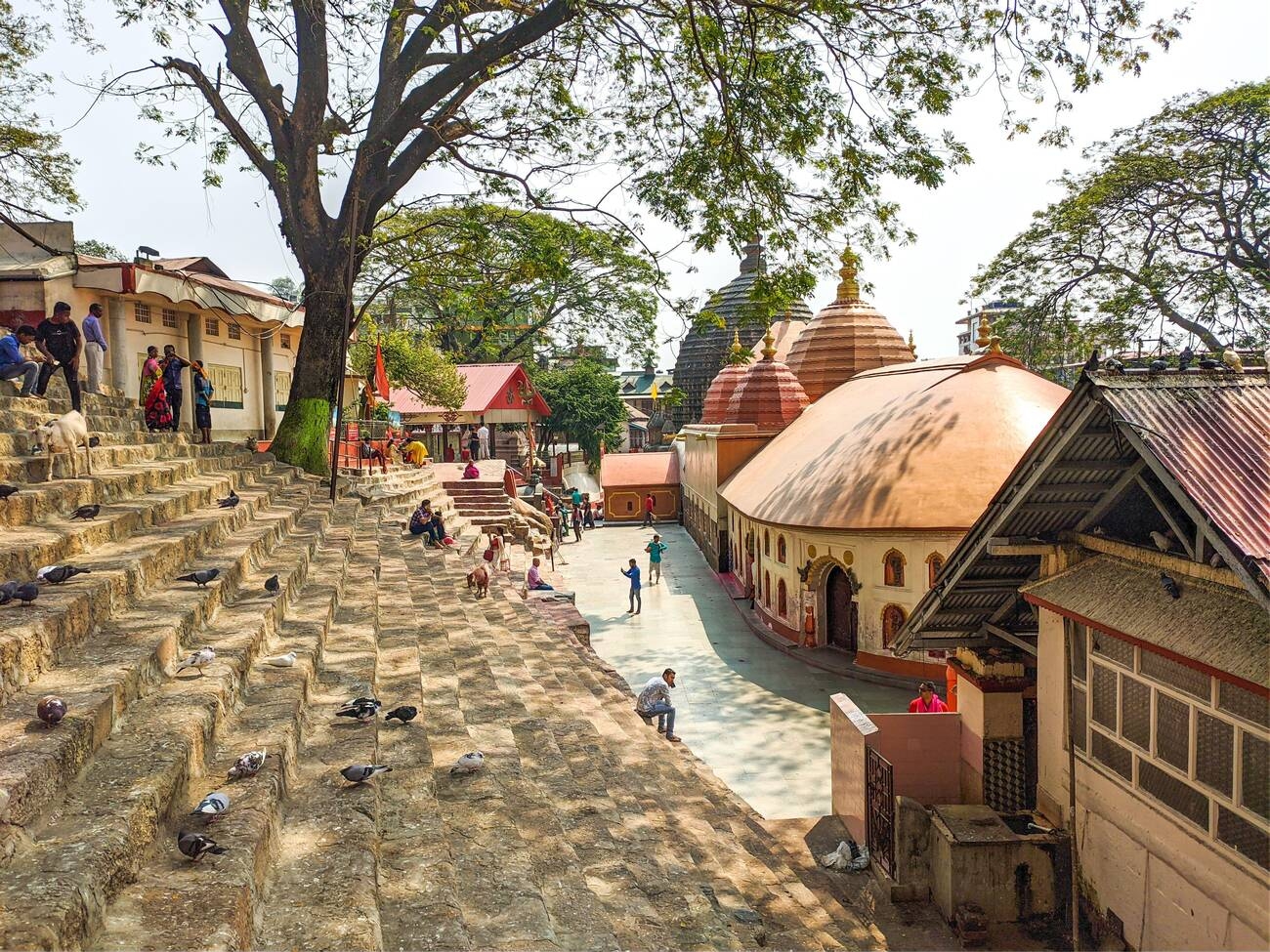 This Is The Only Best Assam Travel Guide You'll Ever Need! | Oddessemania