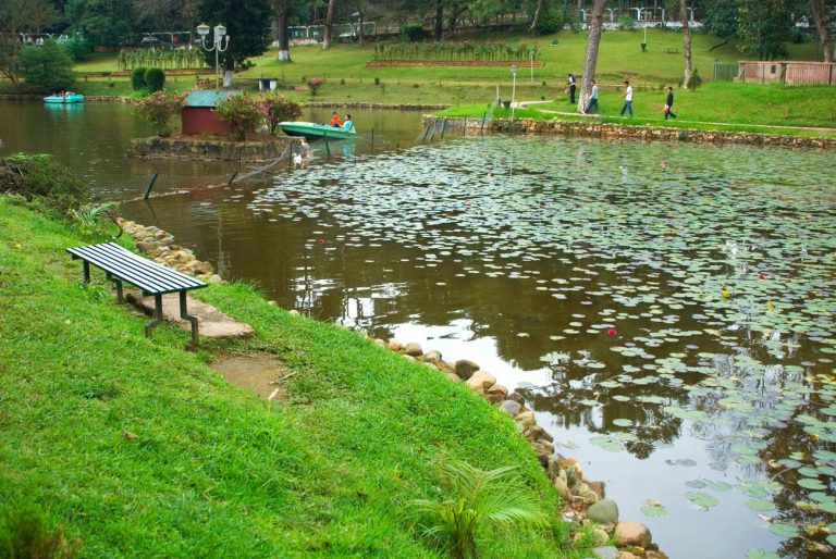 16 Best Cafes & Restaurants In Shillong You Can't Miss | Oddessemania