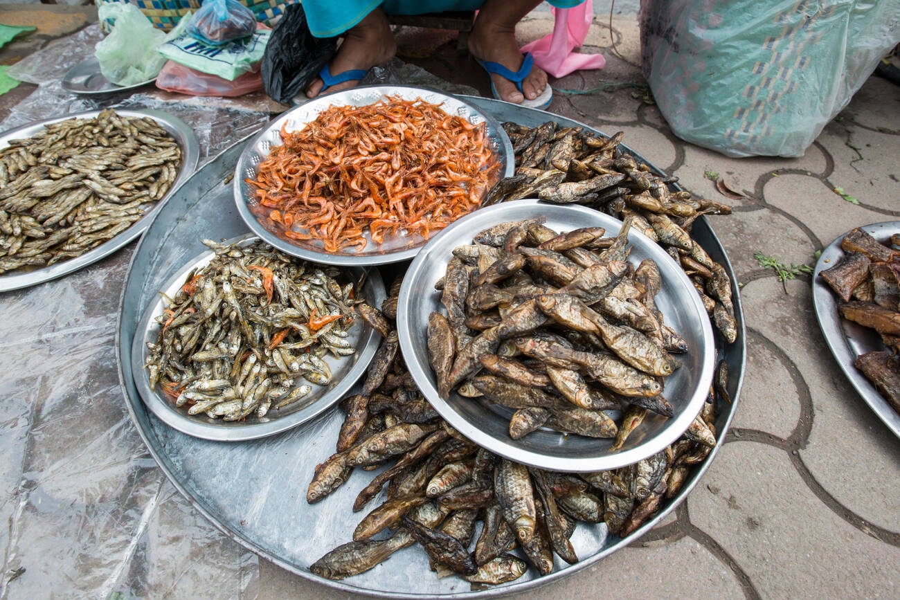 Immersing In Tradition: Exploring The Rich Culture Of Manipur ...