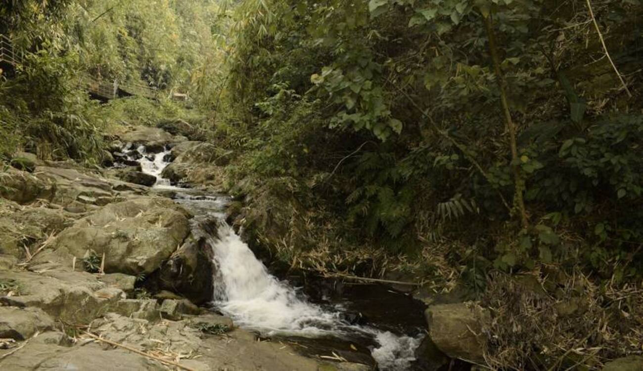 Discover KakoChang Waterfall: A Must Visit Assam Attractions