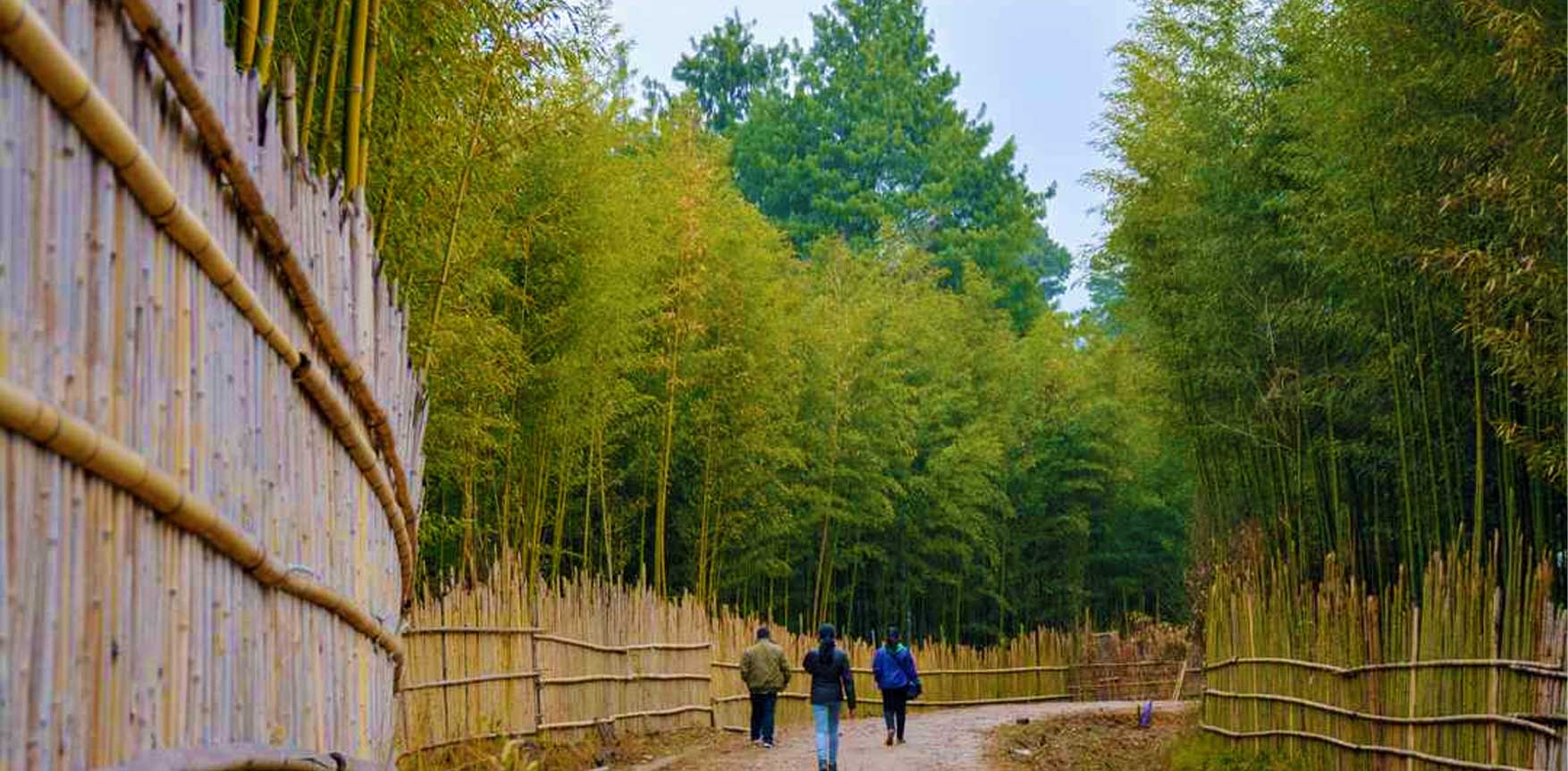 6 Best Tourist Places Of Ziro Valley | Oddessemania