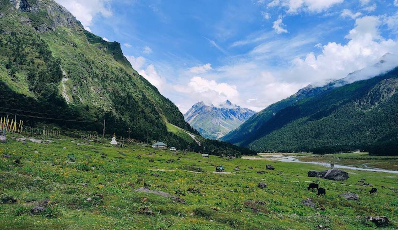 Experiencing Sikkim Snowfall : 8 Beautiful Destinations | Oddessemania