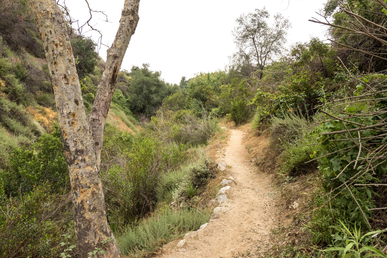 A Great Complete Bumla Pass Travel Guide | Oddessemania